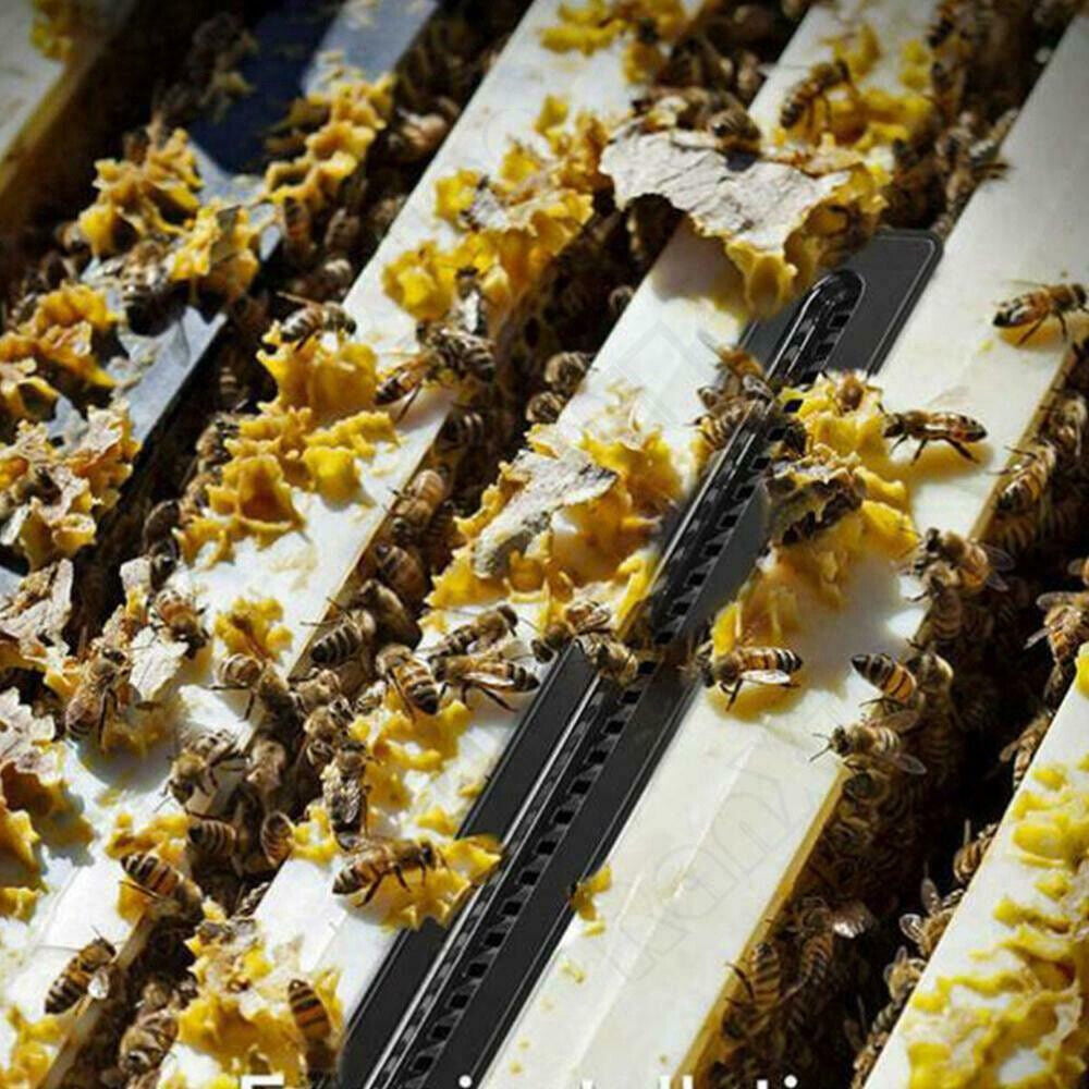 40X Black Small Bee Hive Beetle Blaster, Beetle Trap, Beekeeping Tool ...