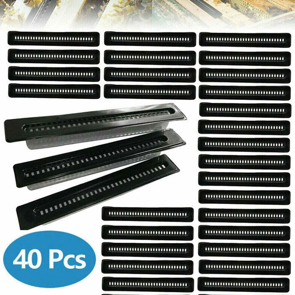 40X Black Small Bee Hive Beetle Blaster BeeHive Beetle Trap Beekeeping ...