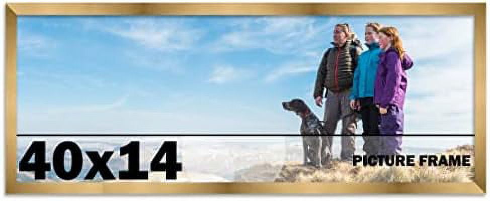 40X14 Frame Bronze Picture Frame - Modern Photo Frame Includes UV Guard ...