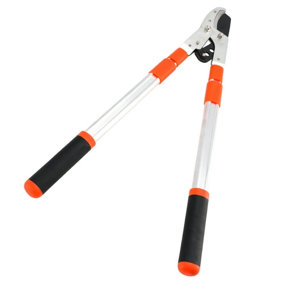 Extendable Tree Loppers