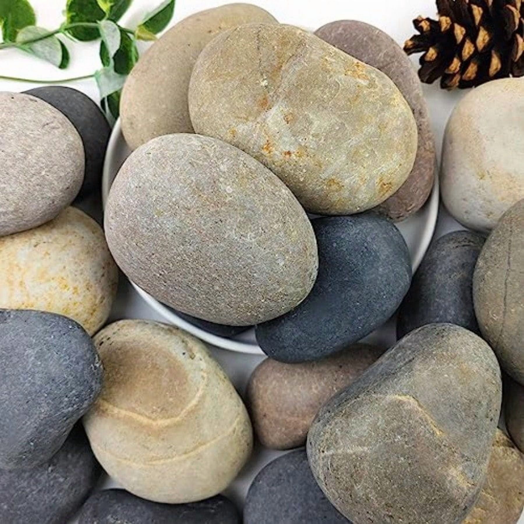 40lbs Natural River Rocks 3-4 Premium Pebbles for Garden and Landscape ...