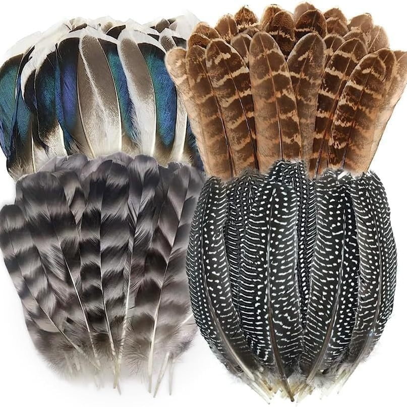 40pcs Natural Feathers Bulk - 4 Styles 40pcs Assorted Natural Feathers ...