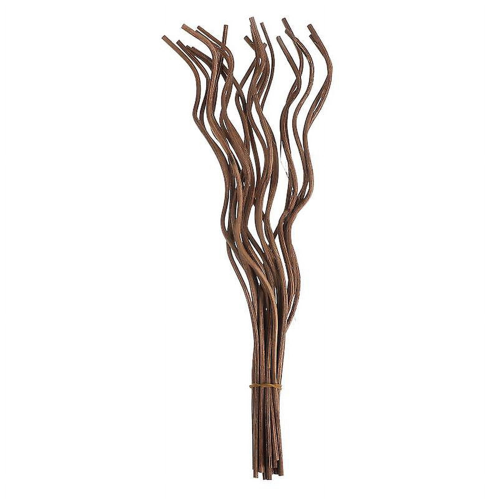 40pcs Reed Stick - Walmart.com