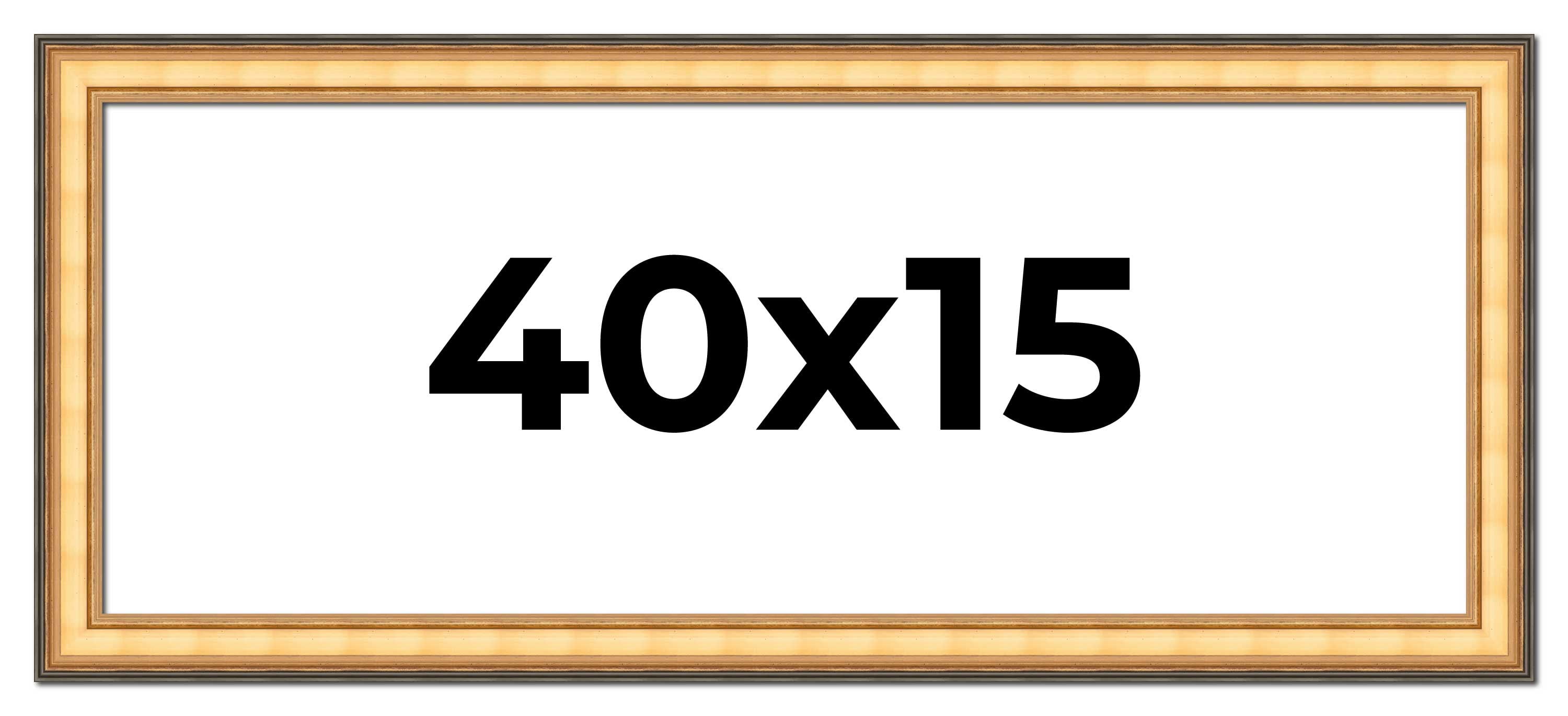 40x15 Frame Gold Plein Aire Solid Wood Picture Frame Width 2 Inches ...