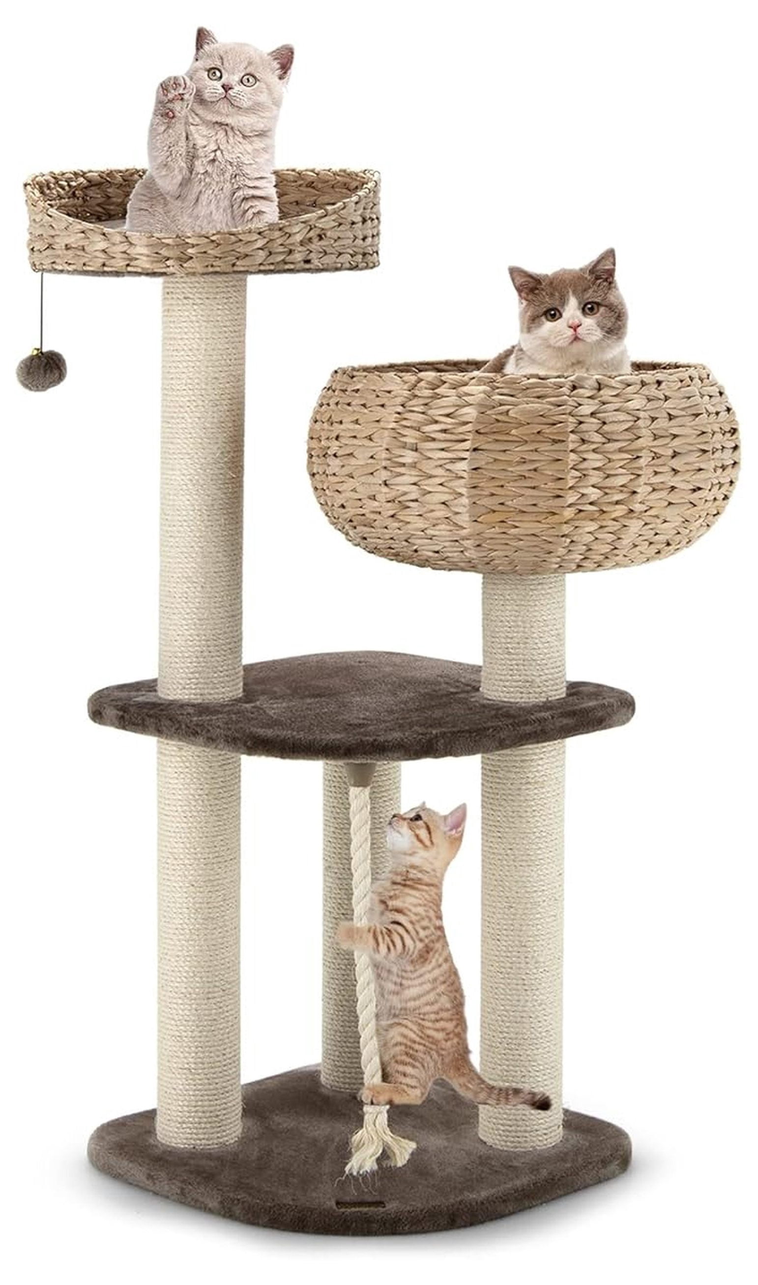 41 Inch Cat Tree for Indoor Cats, Multi-Level Tower with Scratching ...