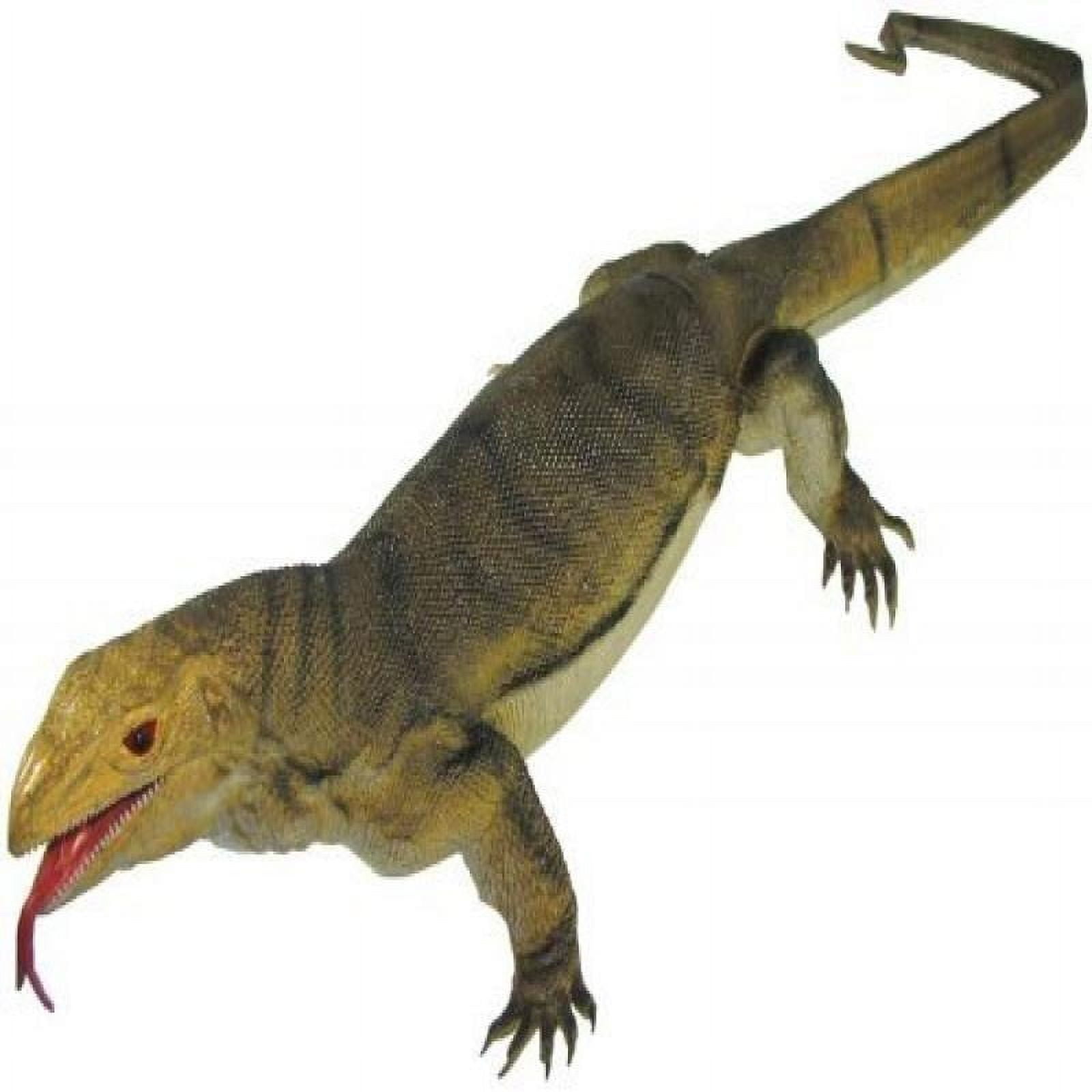 41 Inches Long 3-Lb Jumbo Monitor Lizard. - Walmart.com