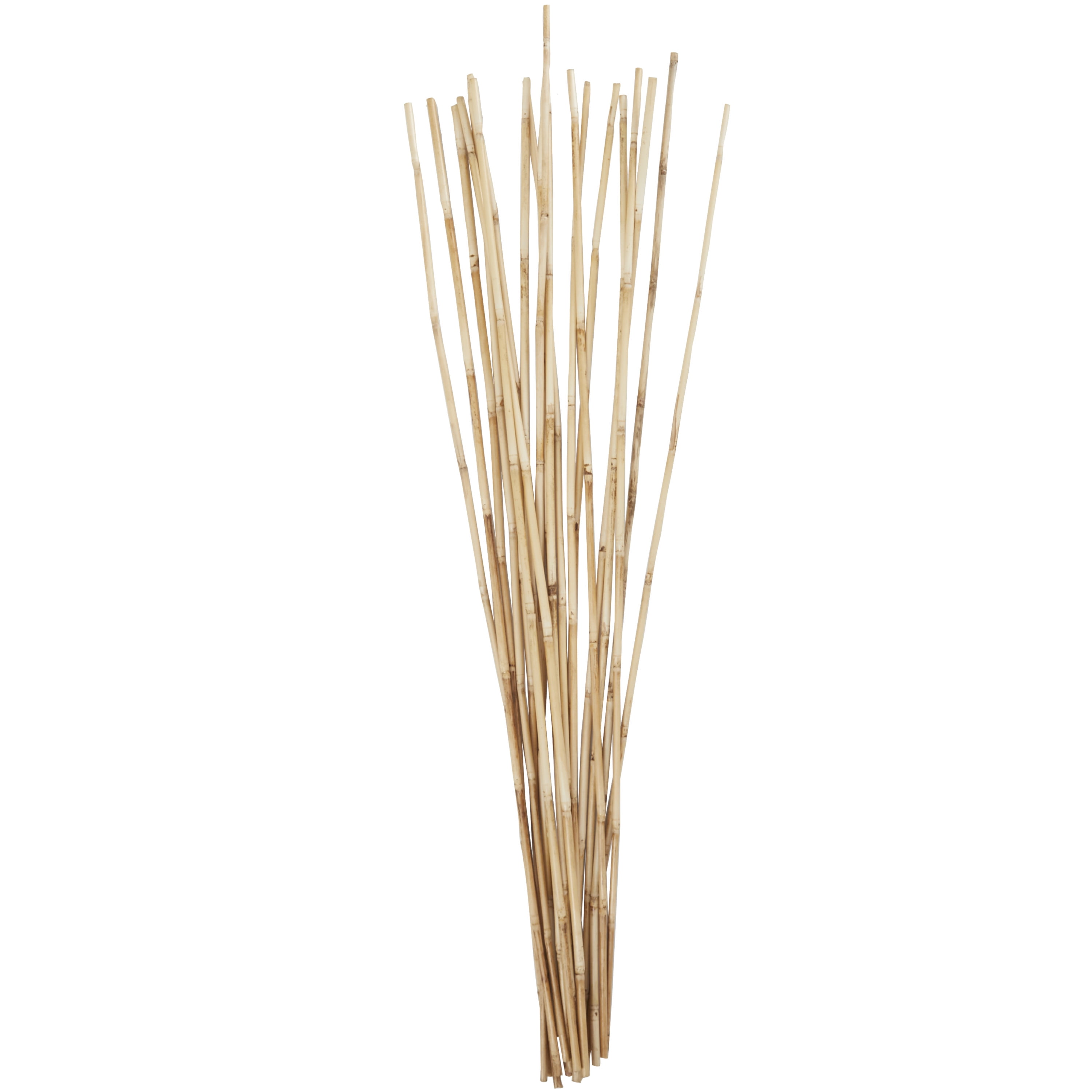 41" Tall Stick Bamboo Natural Foliage Sticks Bouquet, by DecMode ...
