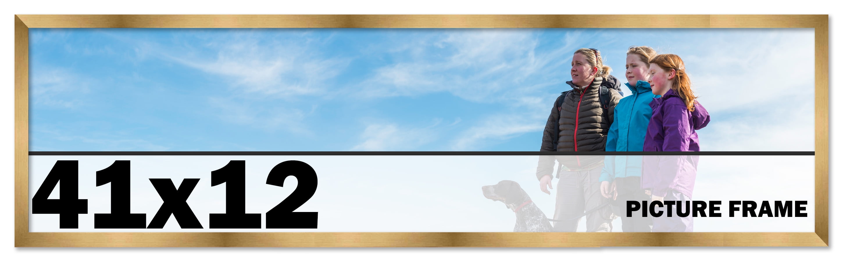 41x12 Frame Gold Bronze Modern Solid Wood Picture Frame | 0.75 Inch ...