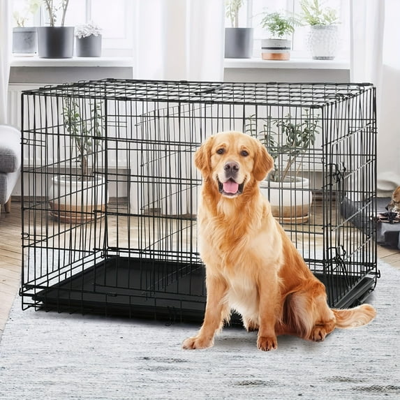 42/48 Inch Double Door Folding Metal Dog Crate - Dividers & Leak-Proof ...