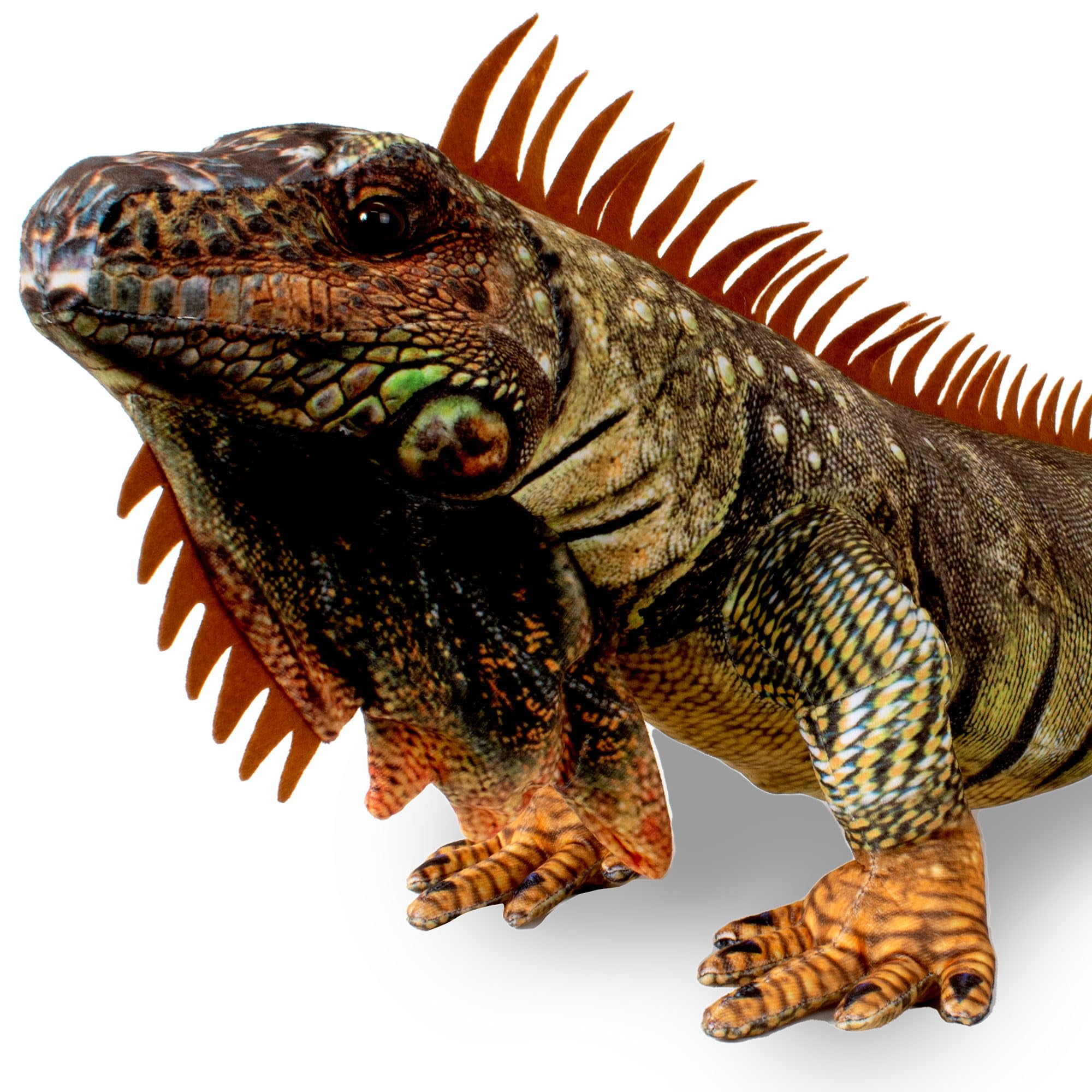Real Planet 42" Brown Iguana Lizard Realistic Stuffed Animal, Reptile ...