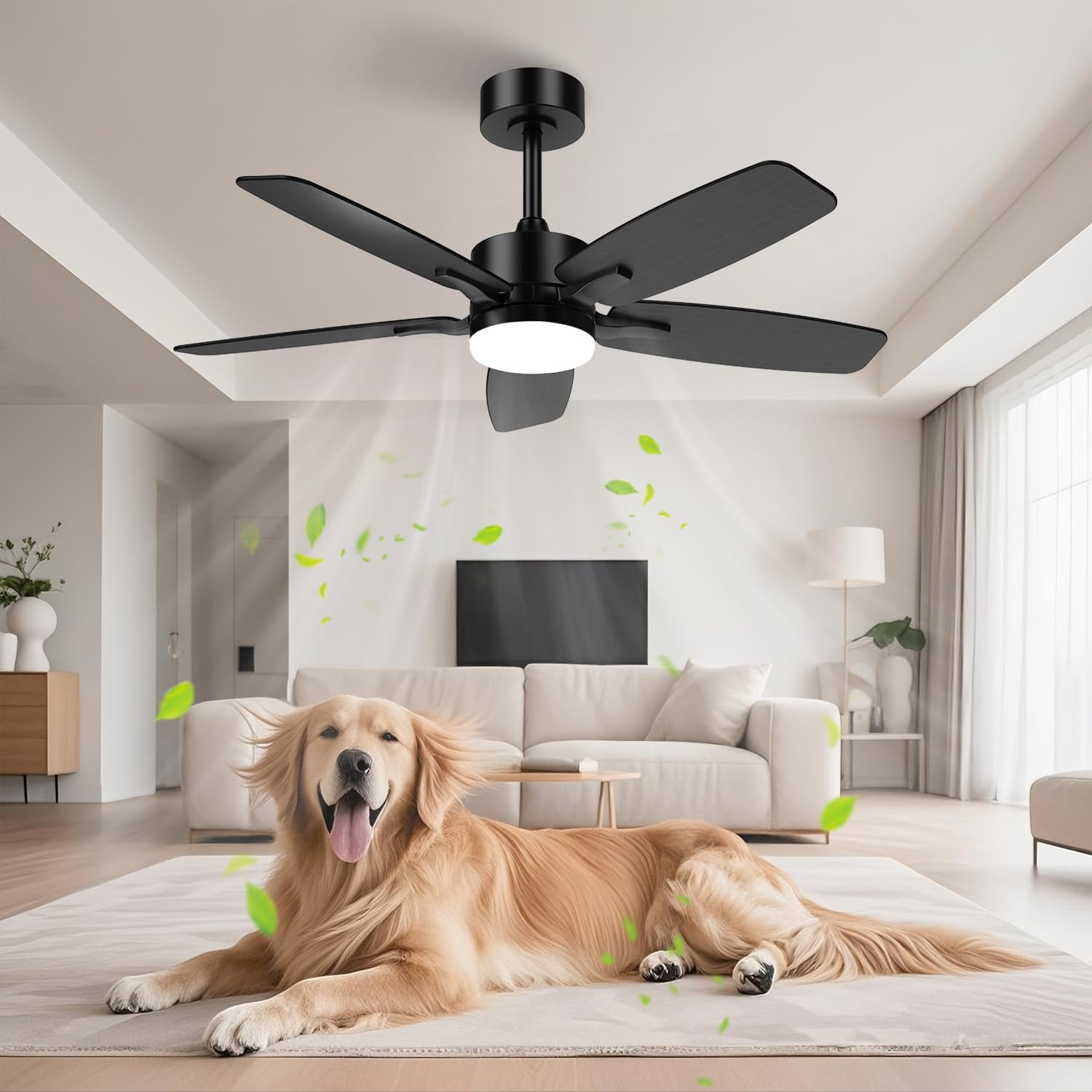 42 Inch Ceiling Fan with Light and Remote, Small Modern Black Ceiling ...