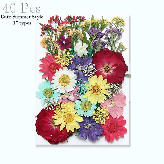 Fufafayo under $5 Dried Flowers DIY Kit, Dried Flower Craft Kit, DIY ...