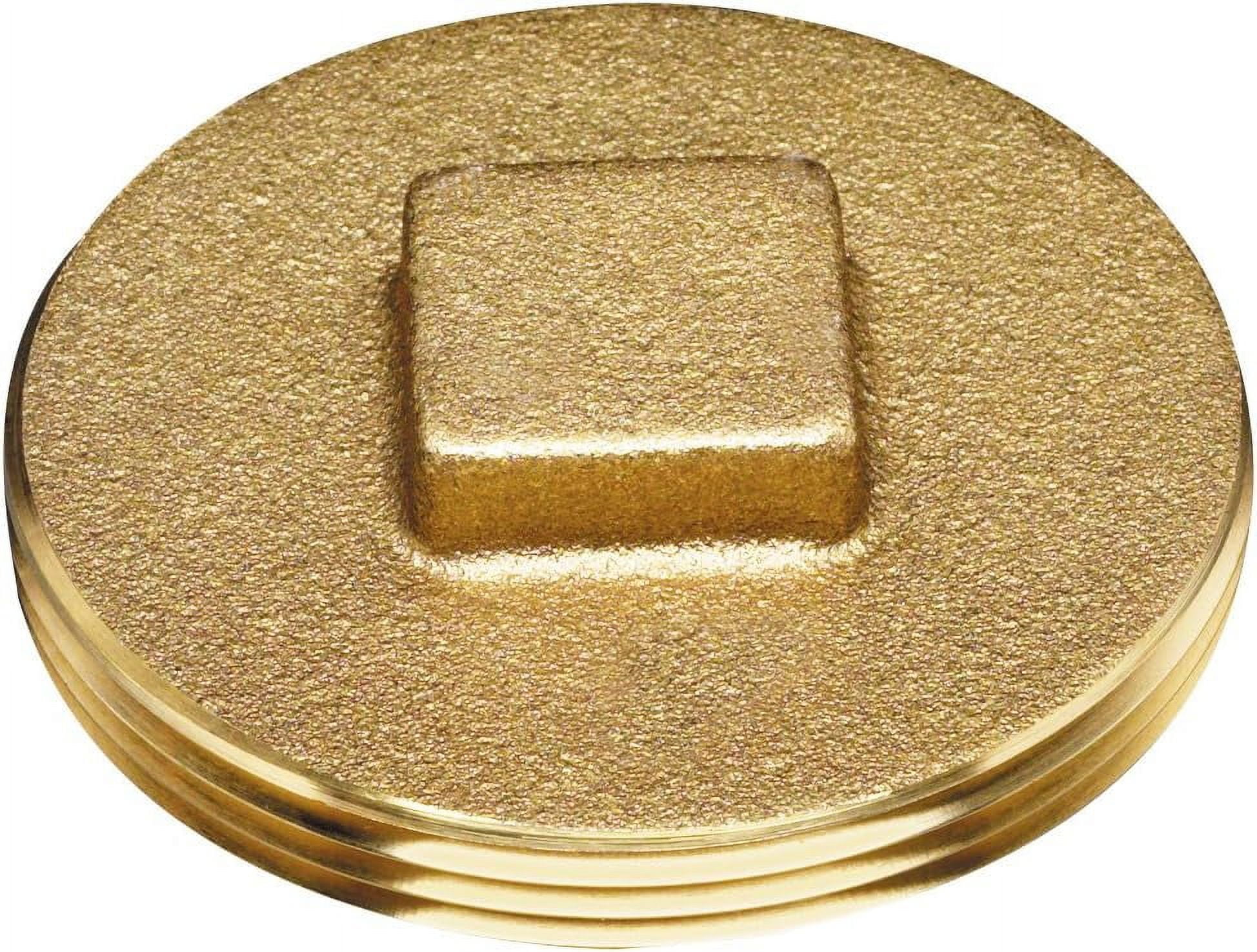 42372 Cleanout Plug, 3-Inch - Walmart.com