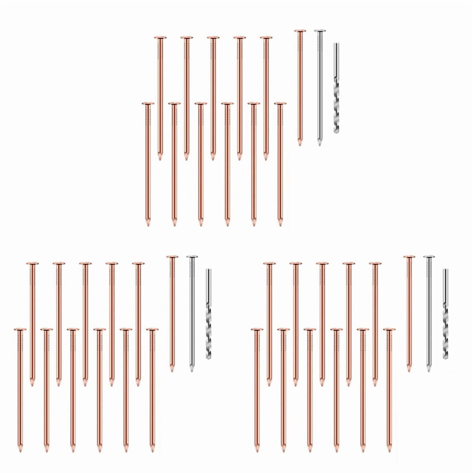 42Pcs Copper Nails Kit to Killing Trees,3.5 Inch Pure Copper Nails Bulk ...