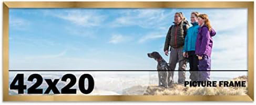 42X20 Frame Bronze Picture Frame - Modern Photo Frame Includes UV Guard ...