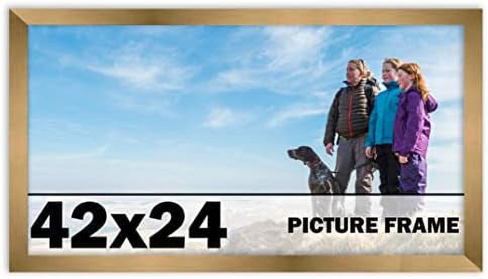 42X24 Frame Bronze Picture Frame - Modern Photo Frame Includes UV Guard ...