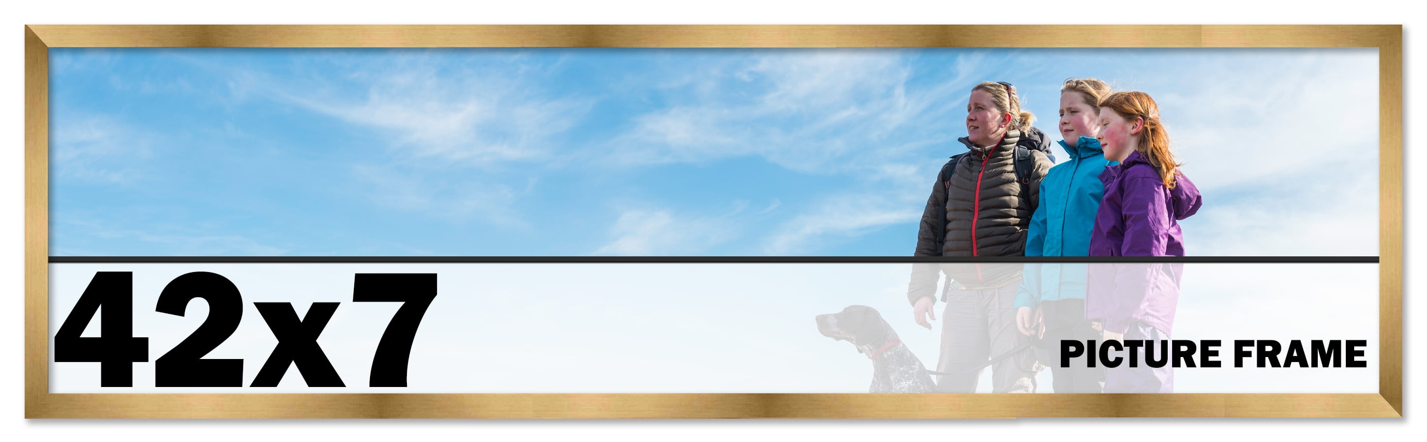 42x7 Frame Gold Bronze Modern Solid Wood Picture Frame | 0.75 Inch ...