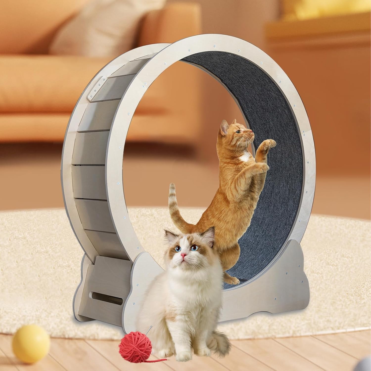 43.3" Large Cat Wheel Exerciser for Indoor Cats, Cat Exercise Running ...