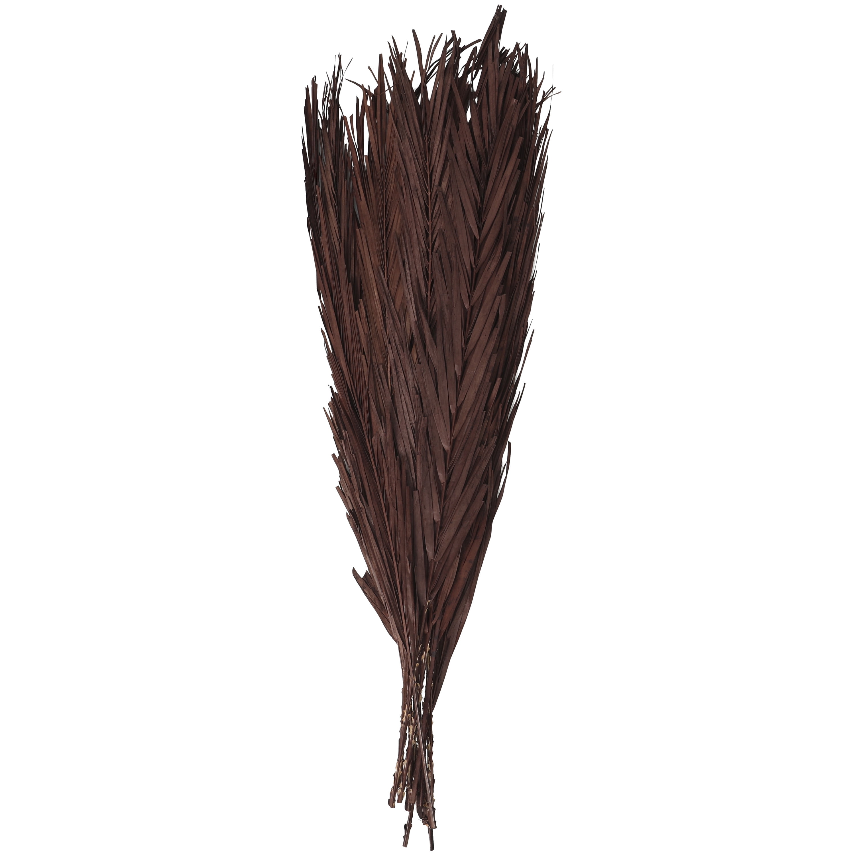DecMode 43 Inch Dried Palm Leaf Bouquet with Feather Inspired Stems for ...