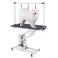 43" Hydraulic Pet Grooming Table with Adjustable Overhead Arm & Noose ...
