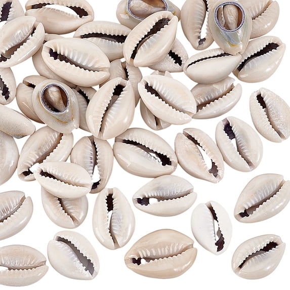 43Pcs Natural Cowrie Shell Beads No Hole Beads Nice for Making ...