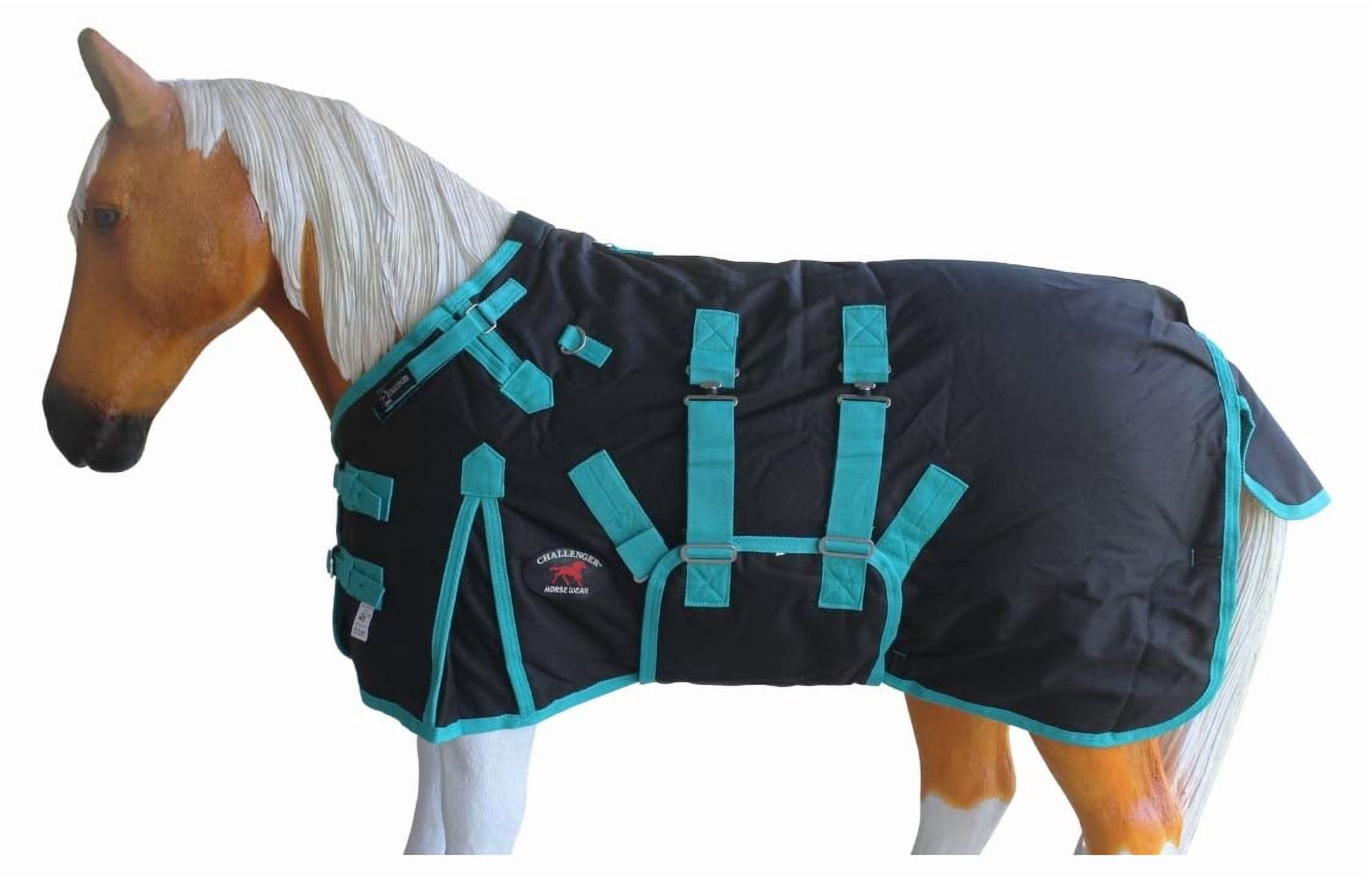 Challenger 1200D Miniature Weanling Donkey Pony Horse Foal Winter ...