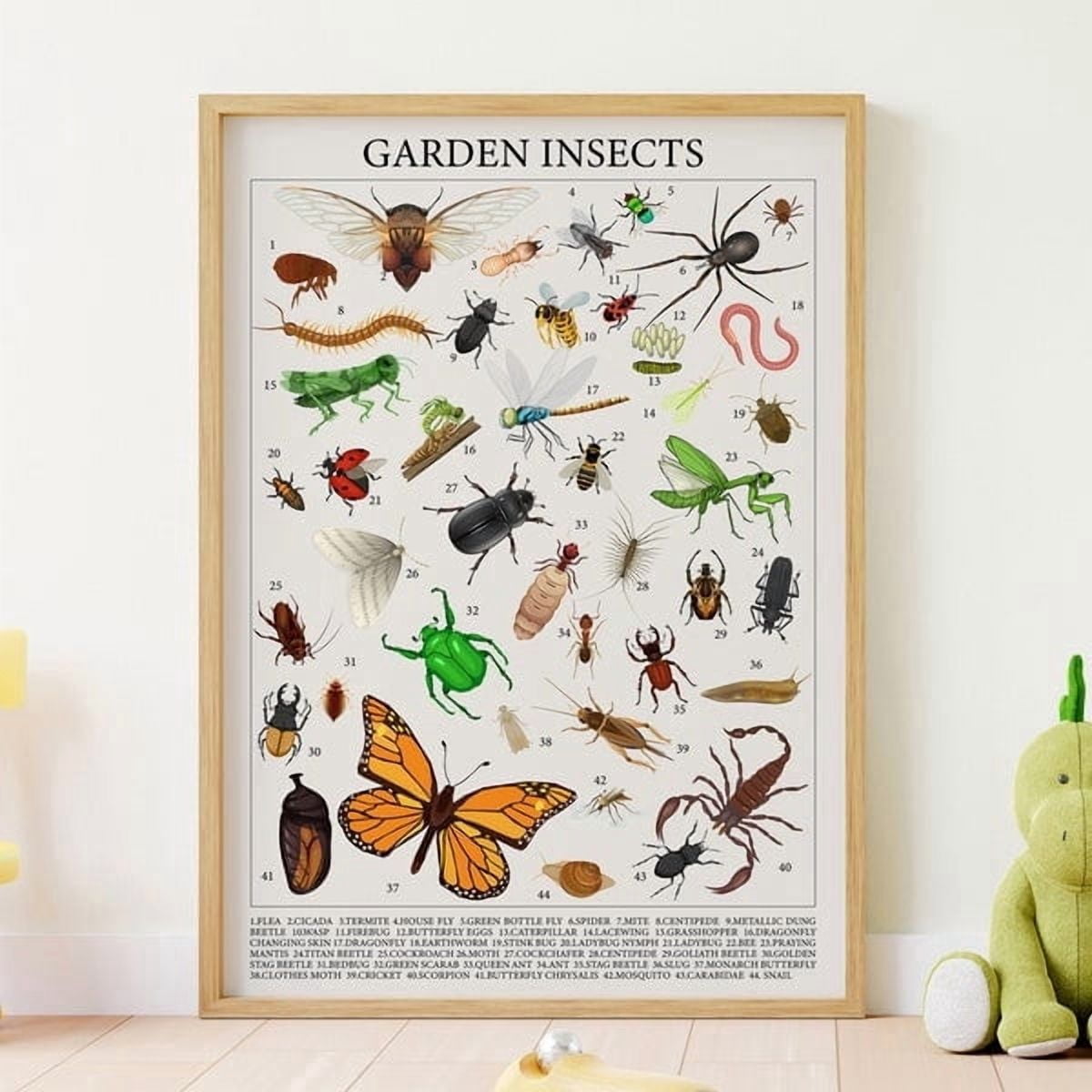 44 Insect Poster: Monarch Butterfly & Bugs Poster For Entomology ...