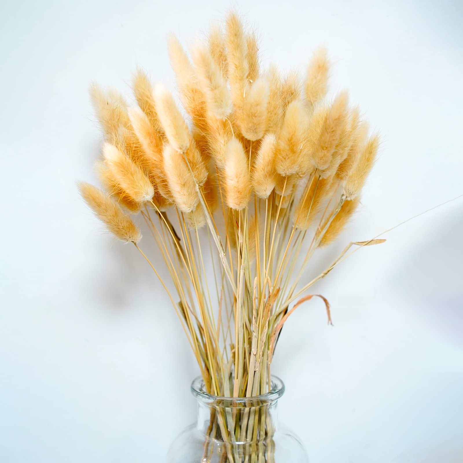 44 Pieces of Rabbit Tail Natural Dried Reed Rabbit Tail for Bohemian ...