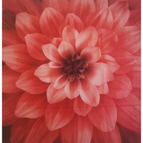 44" X 44" Panel Dream Big Flower Dahlia Florals Beautiful Hoffman ...