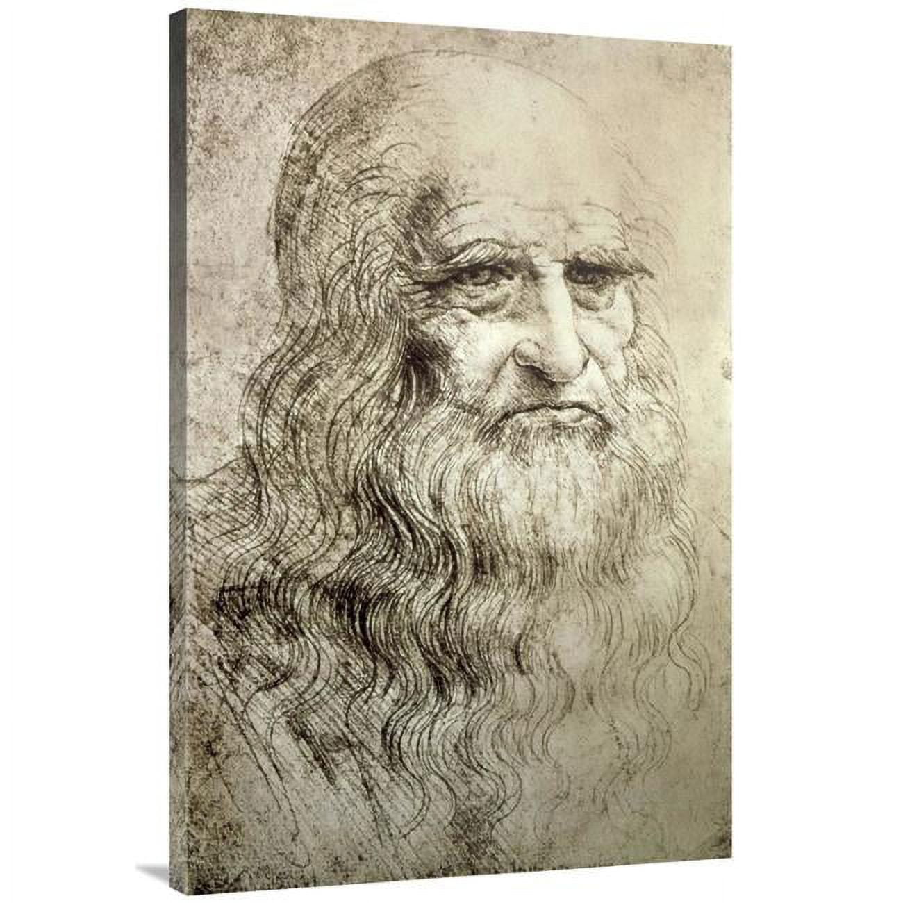 44 in. Self-Portrait C1515 Art Print - Leonardo Da Vinci - Walmart.com