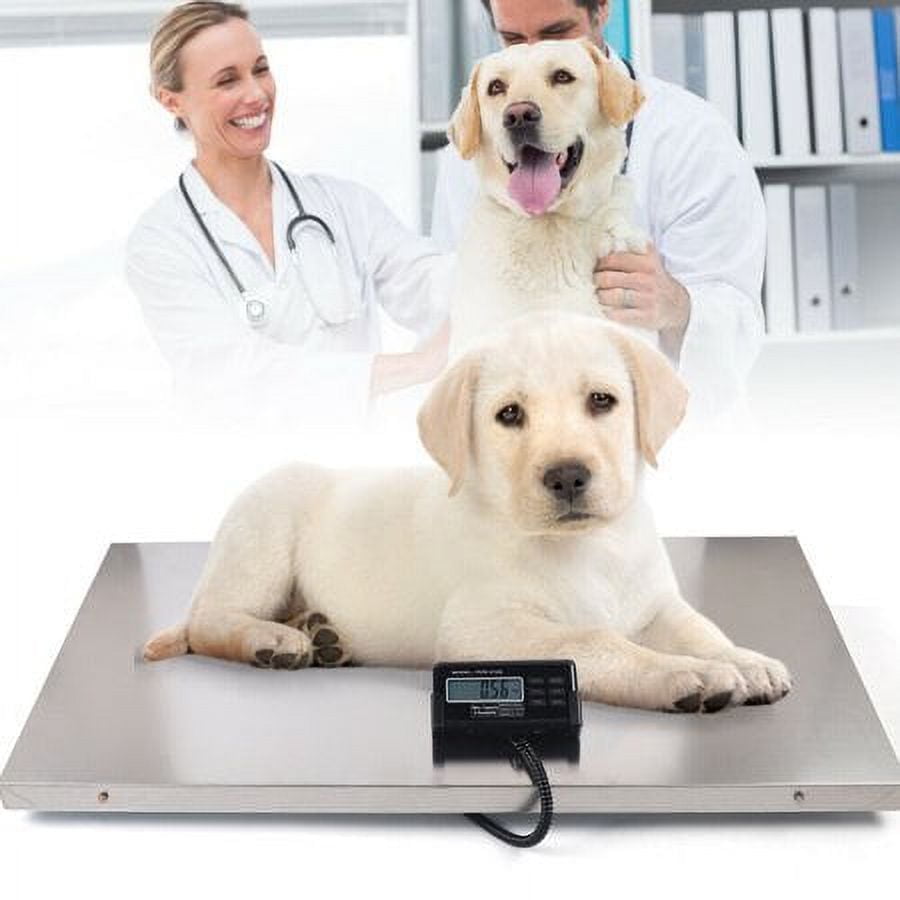 440Lbs Digital Vet Livestock Scale Pet Veterinary Scale Platform Scale ...
