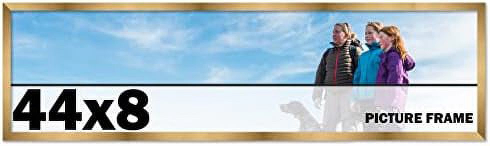 44X8 Frame Bronze Picture Frame - Modern Photo Frame Includes UV ...