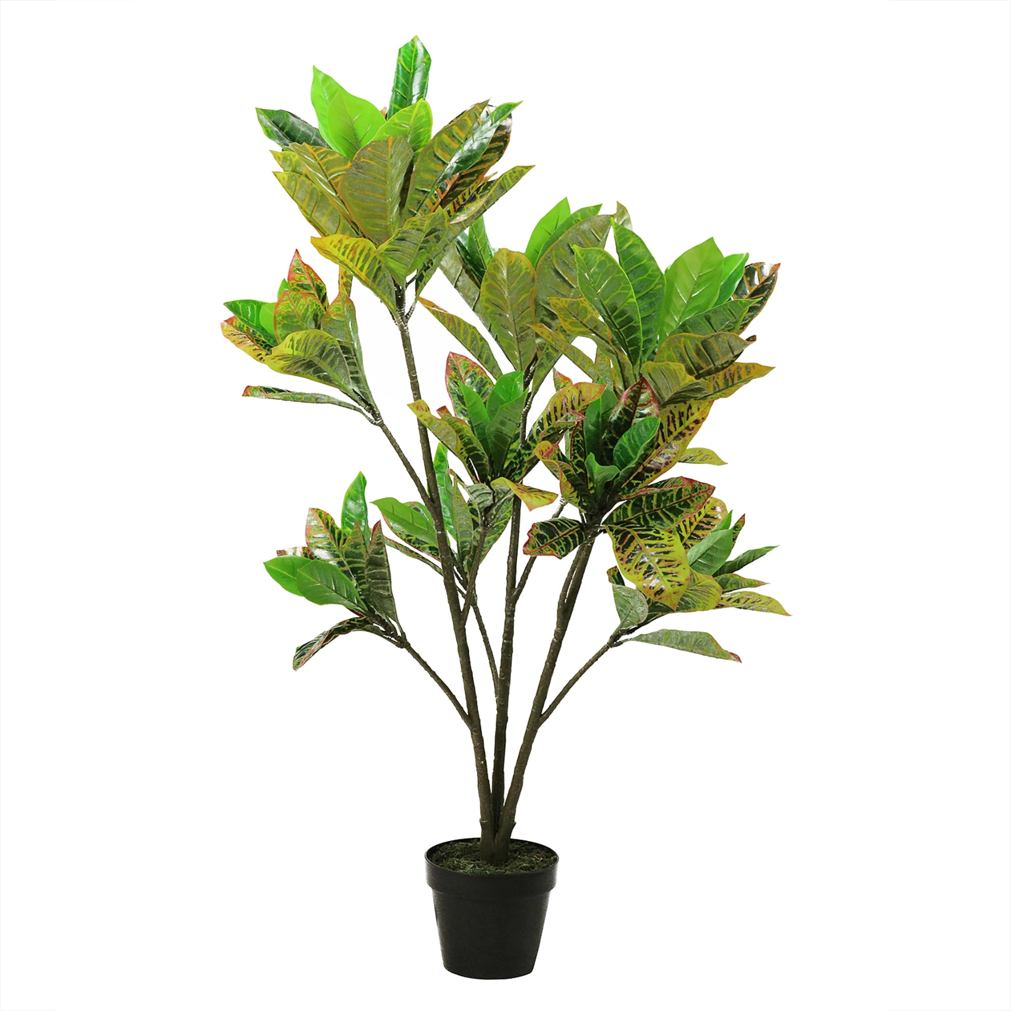 45.75" Green Yellow and Red Potted Artificial Croton Tree - Walmart.com