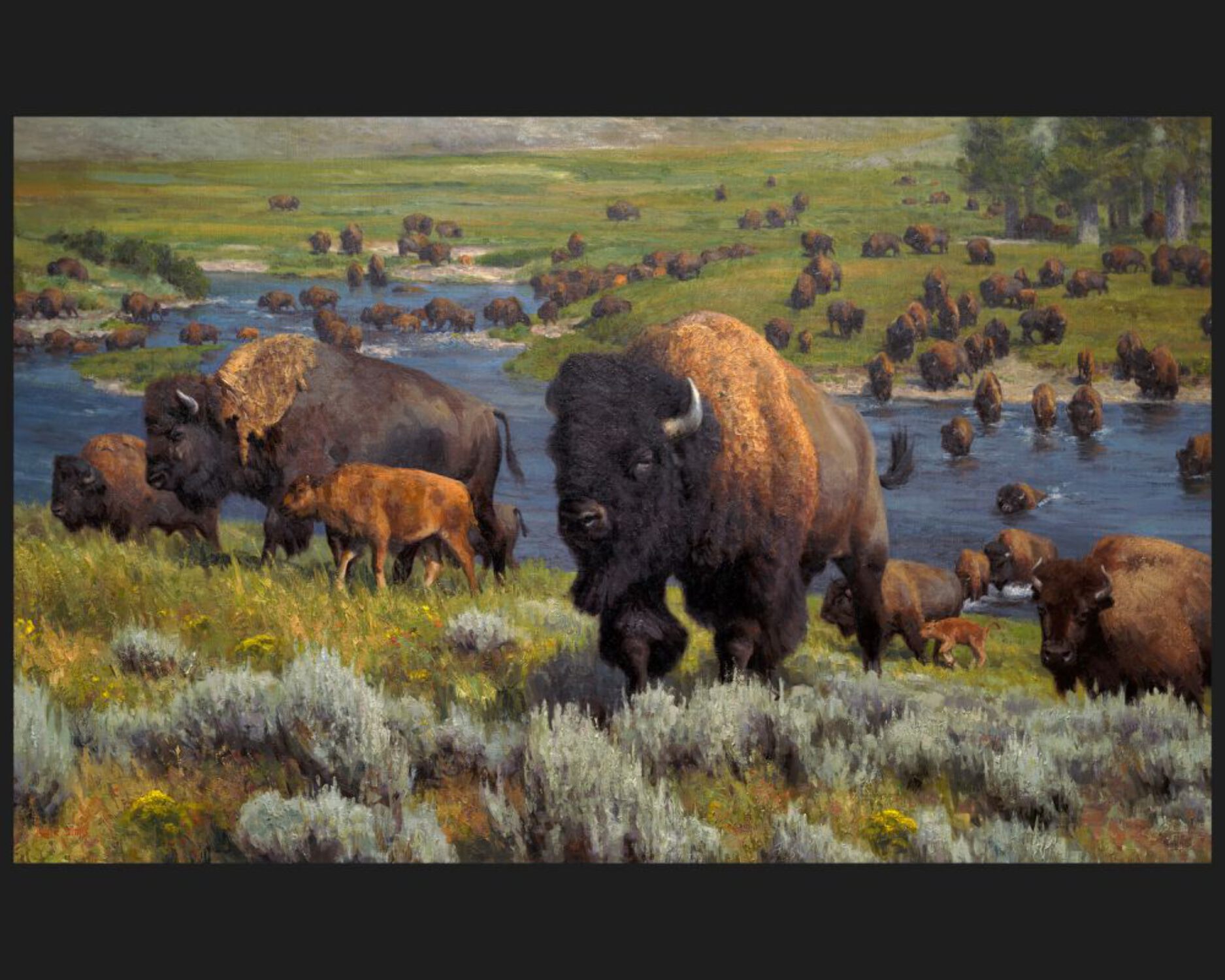 45" An American Migration Buffalo Cotton Panel - Walmart.com