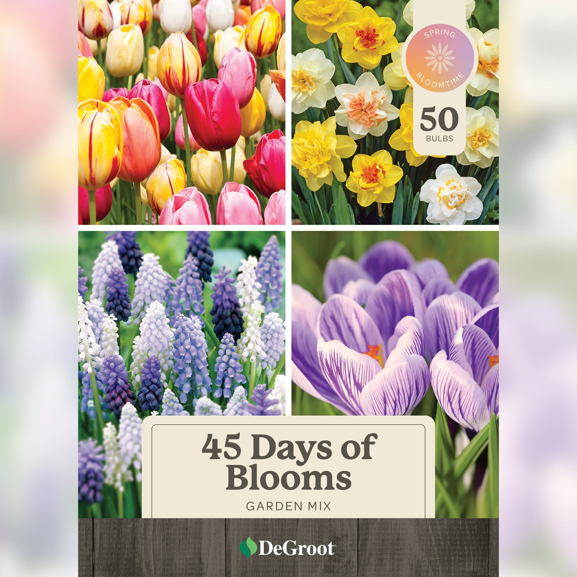 DeGroot 45 Days of Blooms Garden Bulb Mix, 50 Count, Tulips, Crocus ...
