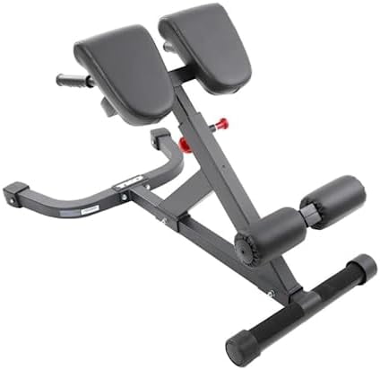 45-Degree Hyperextension Roman Chair Bench | Workout Your Glute ...