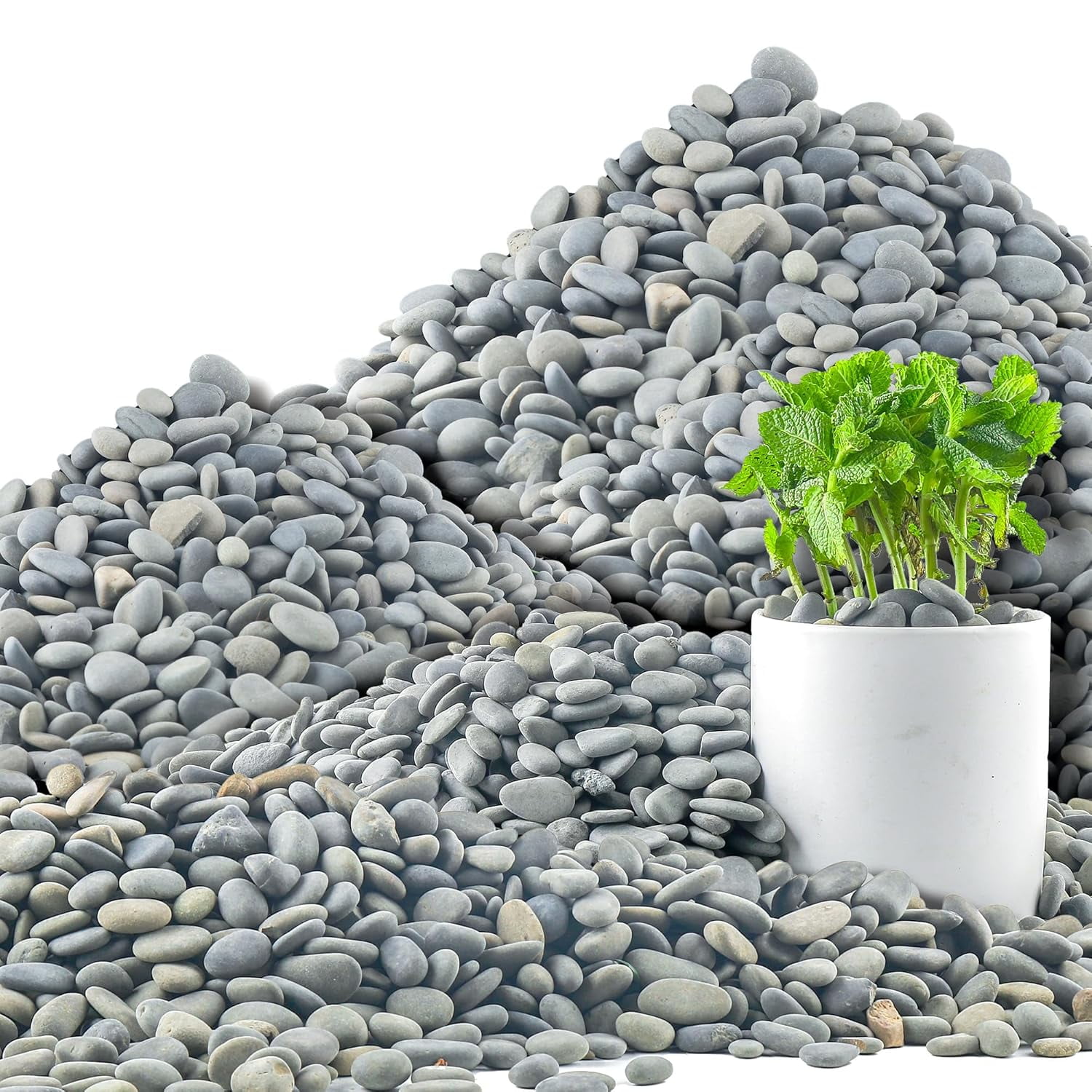 45 LB Mexican Beach Pebbles, 0.4-1 Inch Natural Unpolished Bulk Rocks ...