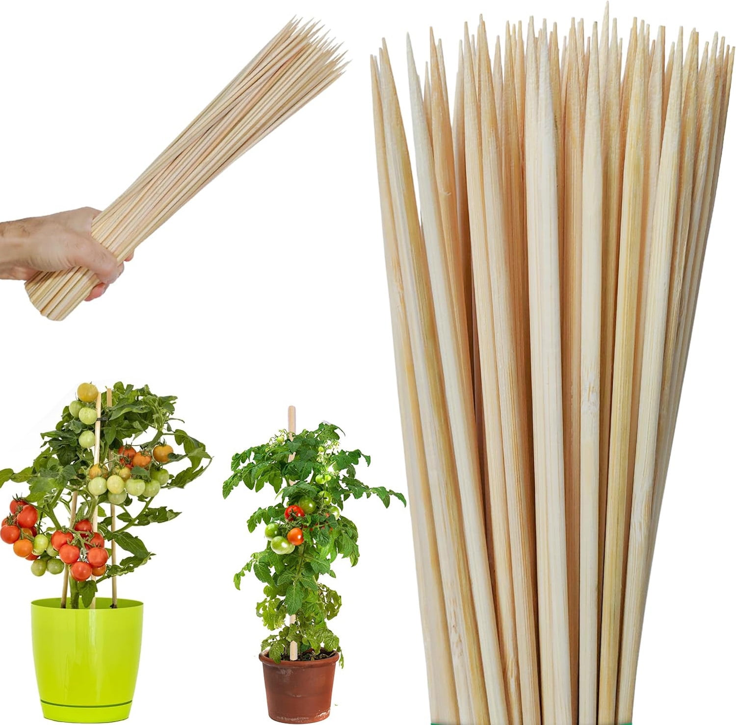 45 Pack 15.7" Bamboo Plant Stakes,Bexikou Plant Sticks Wood Plant ...