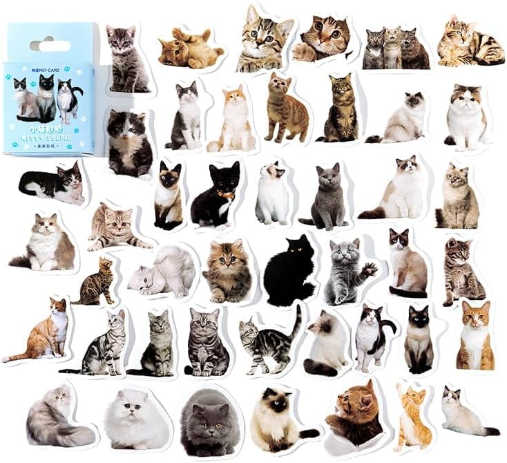 45 Pcs Boxed Small Cat Stickers for Scrapbook Kids Bullet Journal Notebook Planner Diary Collage ...
