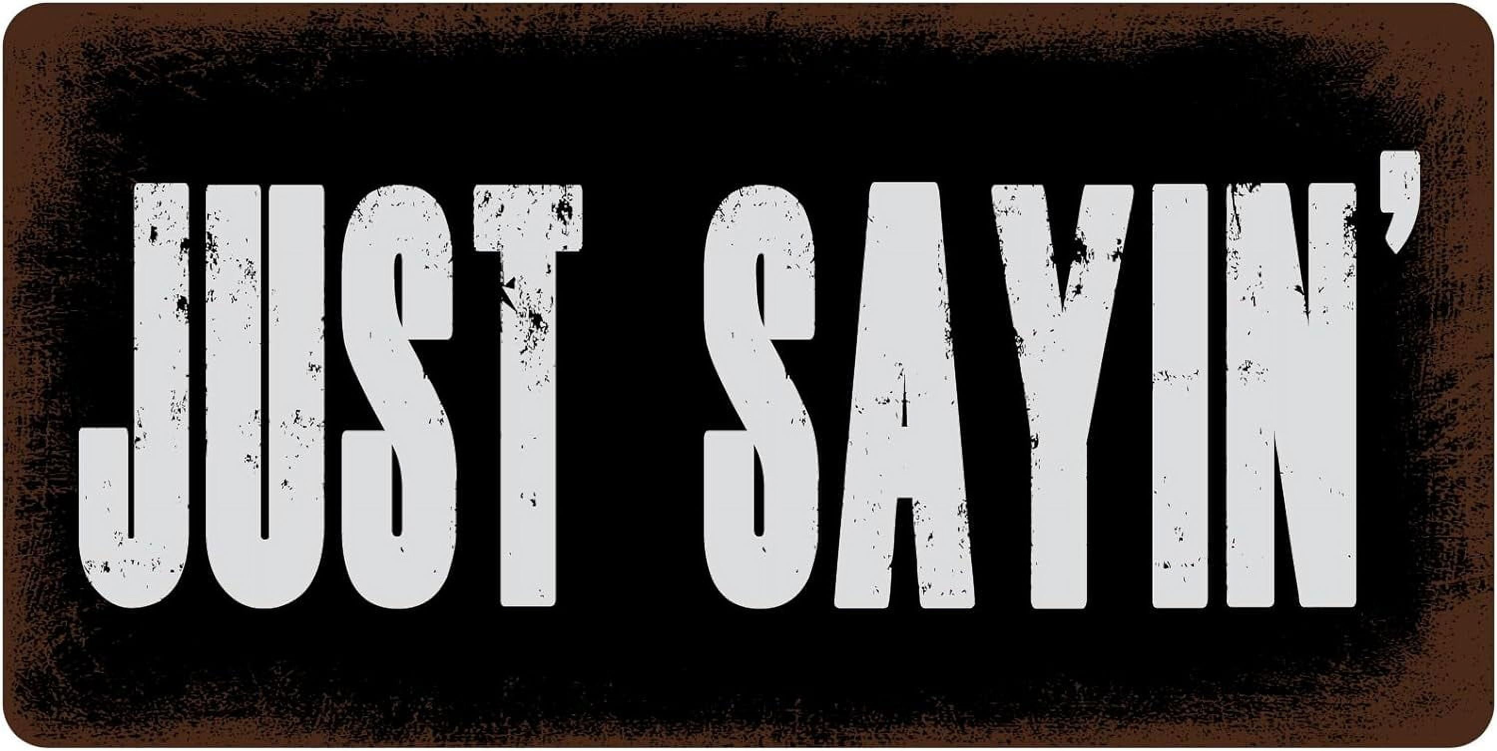 450HS Just Sayin 5"x10" Aluminum Hanging Novelty Sign - Walmart.com