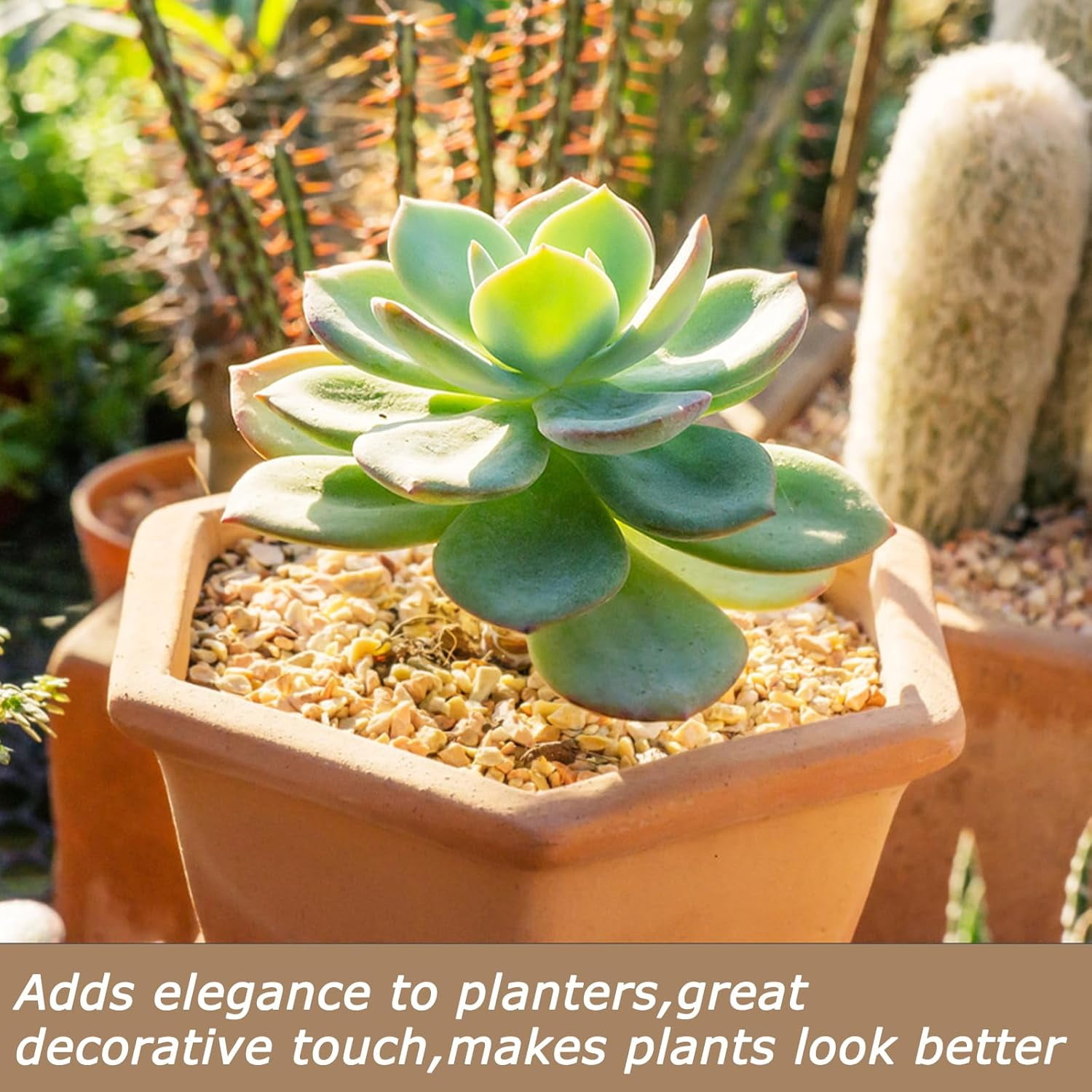 45Lb 1/5Inch Natural Pea Gravel for Landscaping,Decorative Aquarium ...