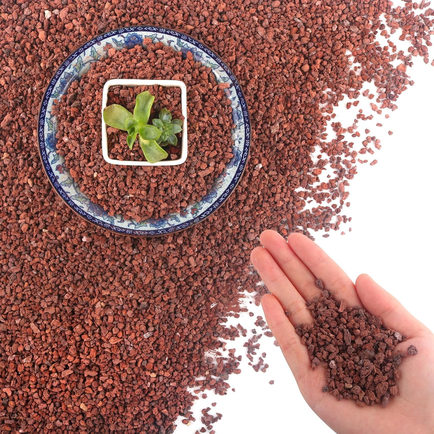 45Lb Horticultural Lava Rock - Succulent Soil Amendment, Decorative ...