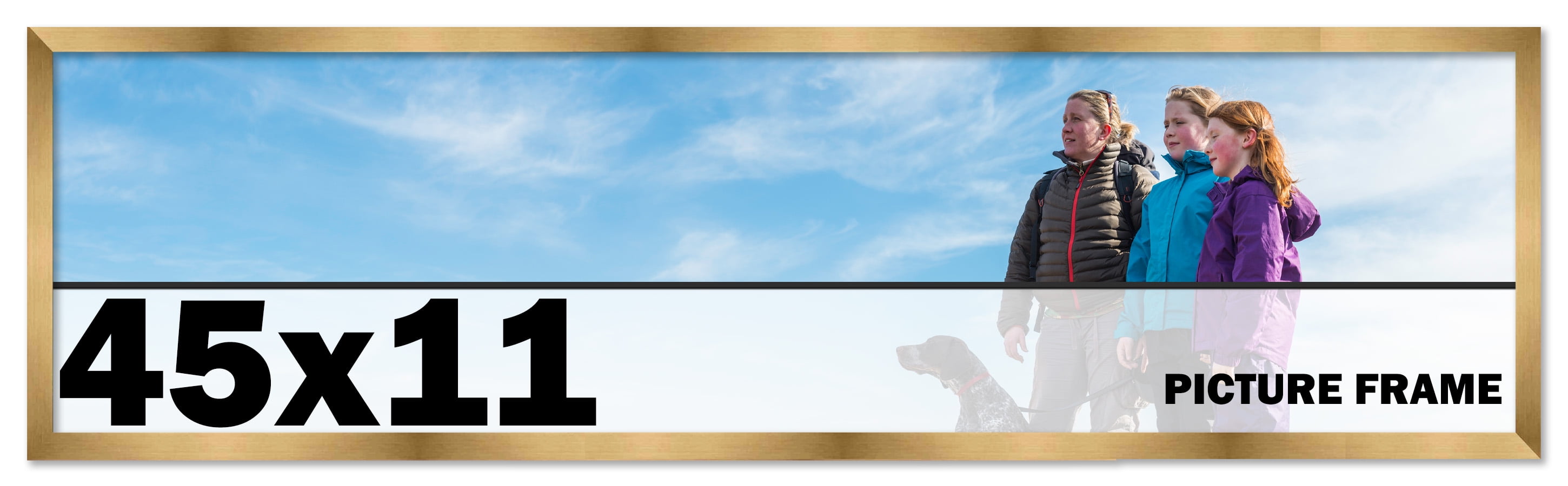 45x11 Frame Gold Bronze Modern Solid Wood Picture Frame | 0.75 Inch ...