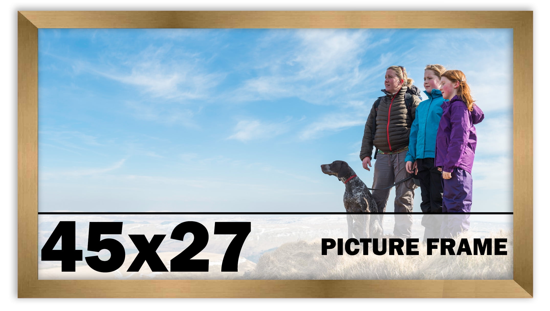 45x27 Frame Gold Bronze Modern Solid Wood Picture Frame | 0.75 Inch ...