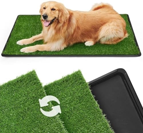 45x29in Large Dog Grass Potty Tray - Dog Litter Box with 2-Pack ...