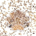 460pcs Natural Spiral Shell Beads 7~20mm 6 Styles Small Seashells ...