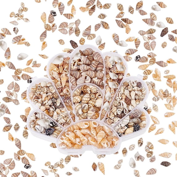 460pcs Natural Spiral Shell Beads 7~20mm 6 Styles Small Seashells ...