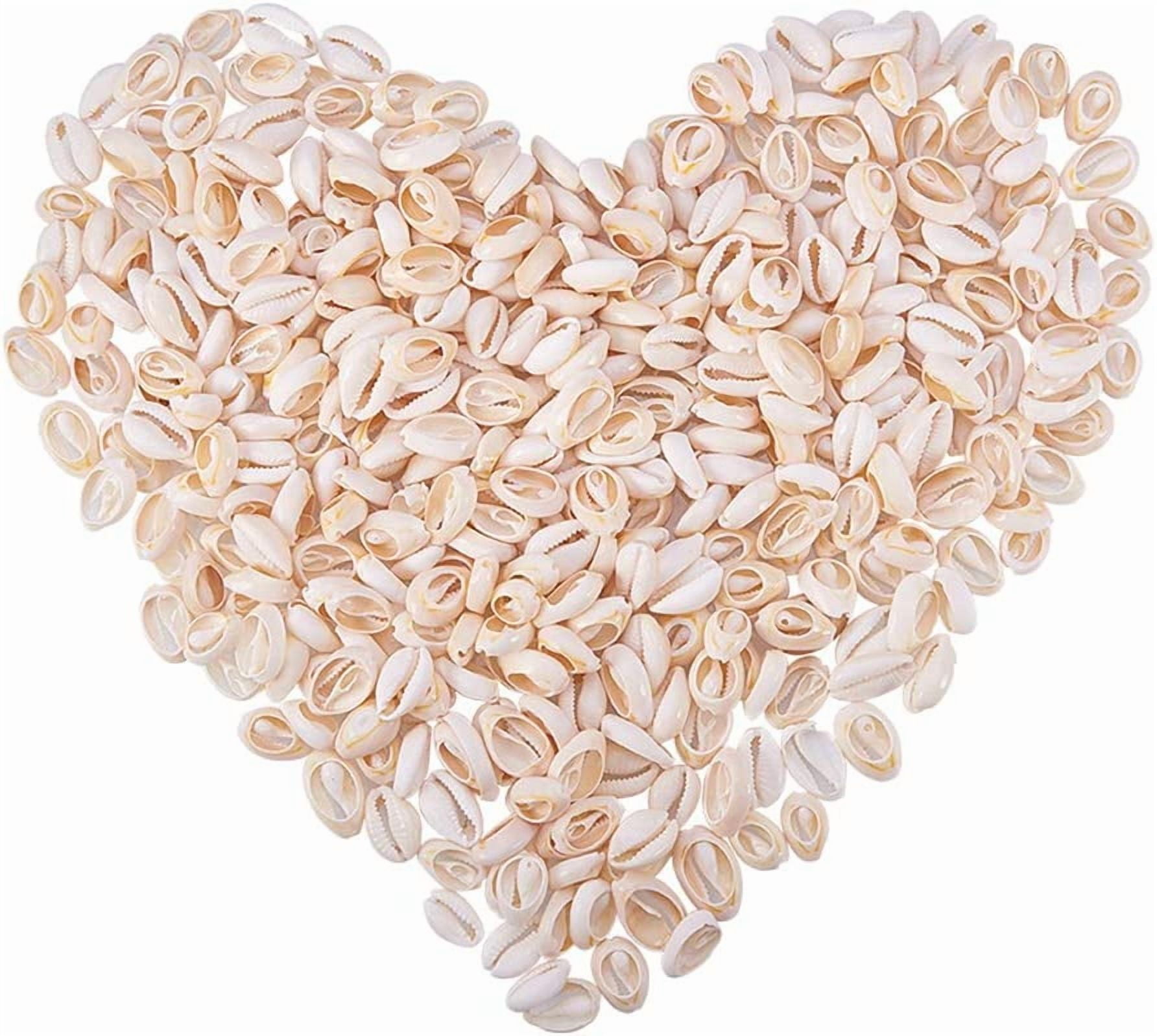 470pcs/500g Mixed Natural Spiral Cowrie Shell Beads Beach Seashells ...