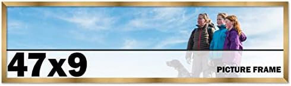 47X9 Frame Bronze Picture Frame - Modern Photo Frame Includes UV ...