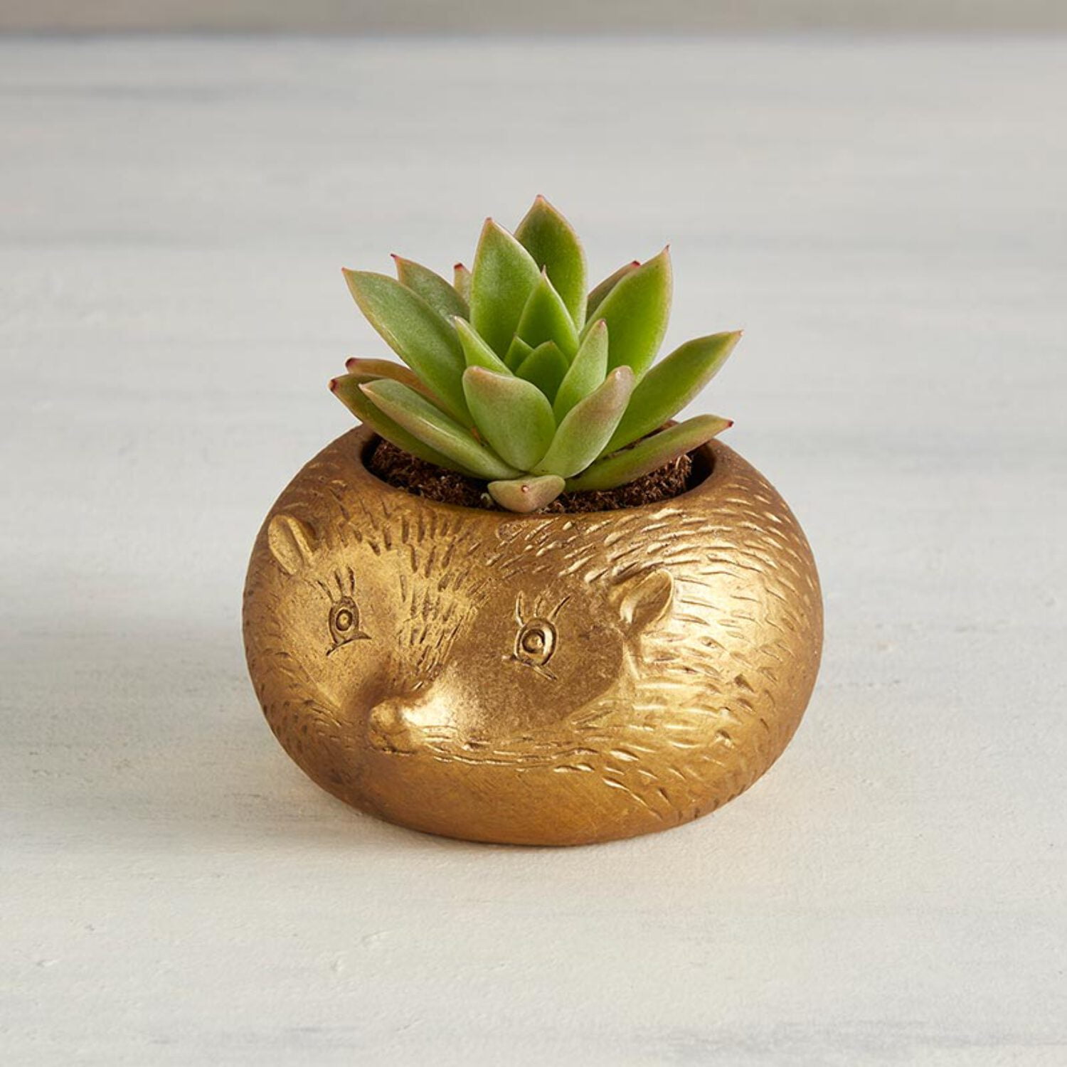 47th & Main Mole Gold Metallic Mini Planter Pot - Walmart.com
